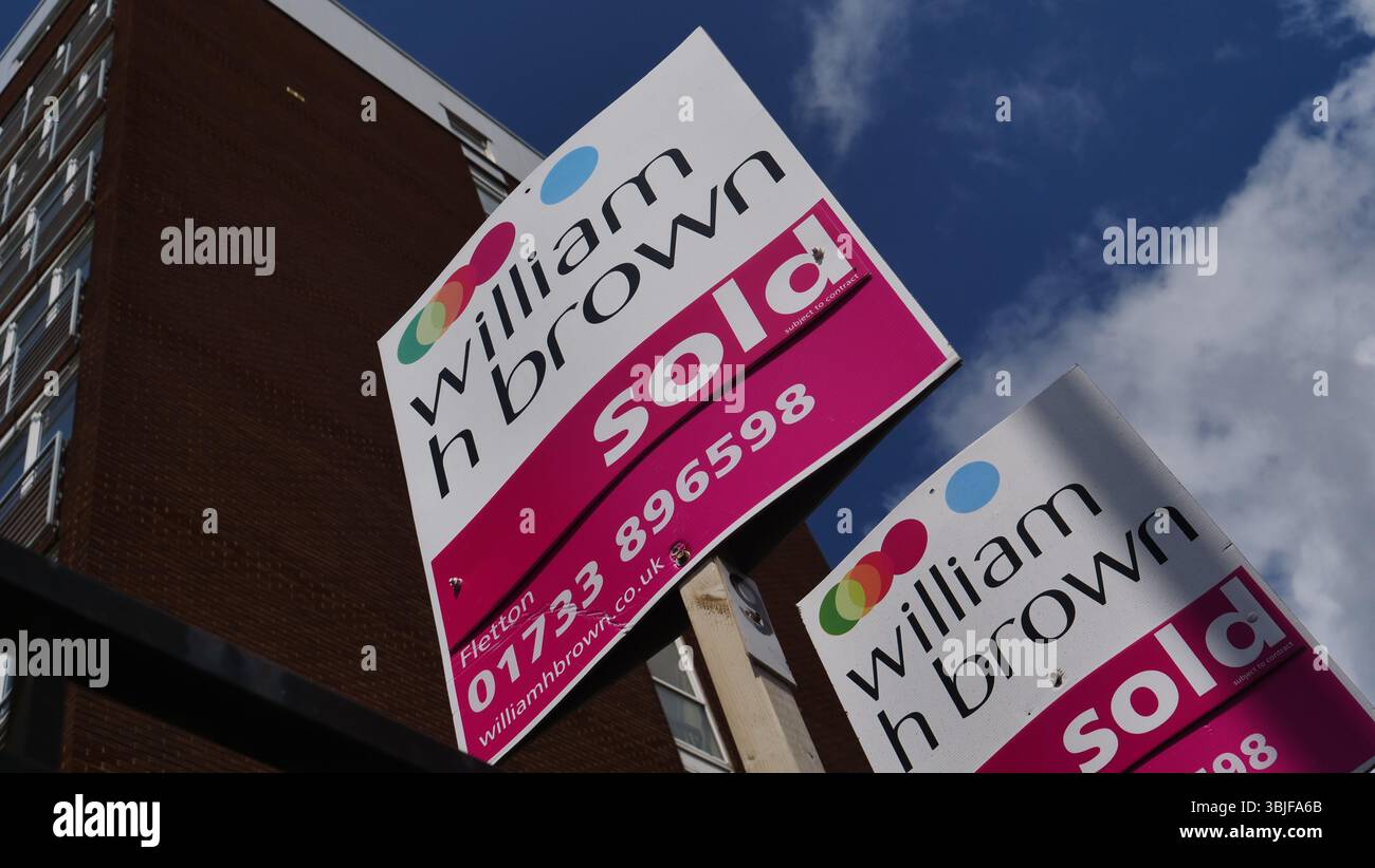 A row of estate aget signs highlights properties to Rent, For Sale, and ...