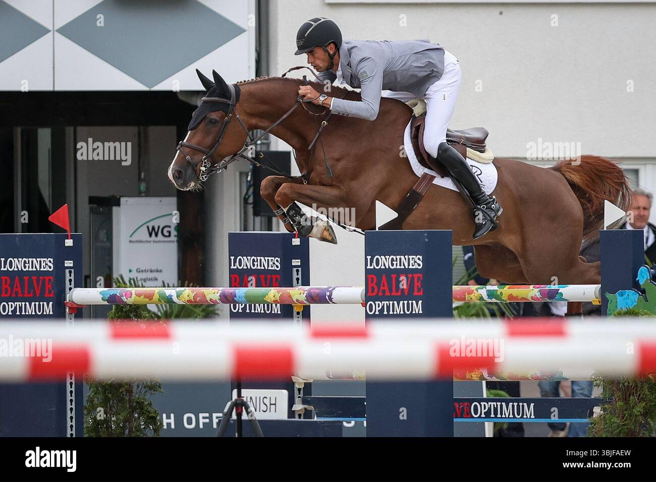 Balve, Germany. 15th June, 2025. Equestrian sport: German Championships ...