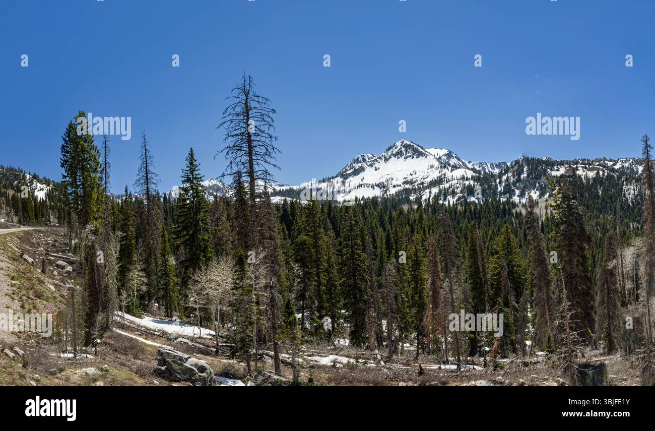 Mount Superior snow capped mountains in the American Rockies near Salt ...