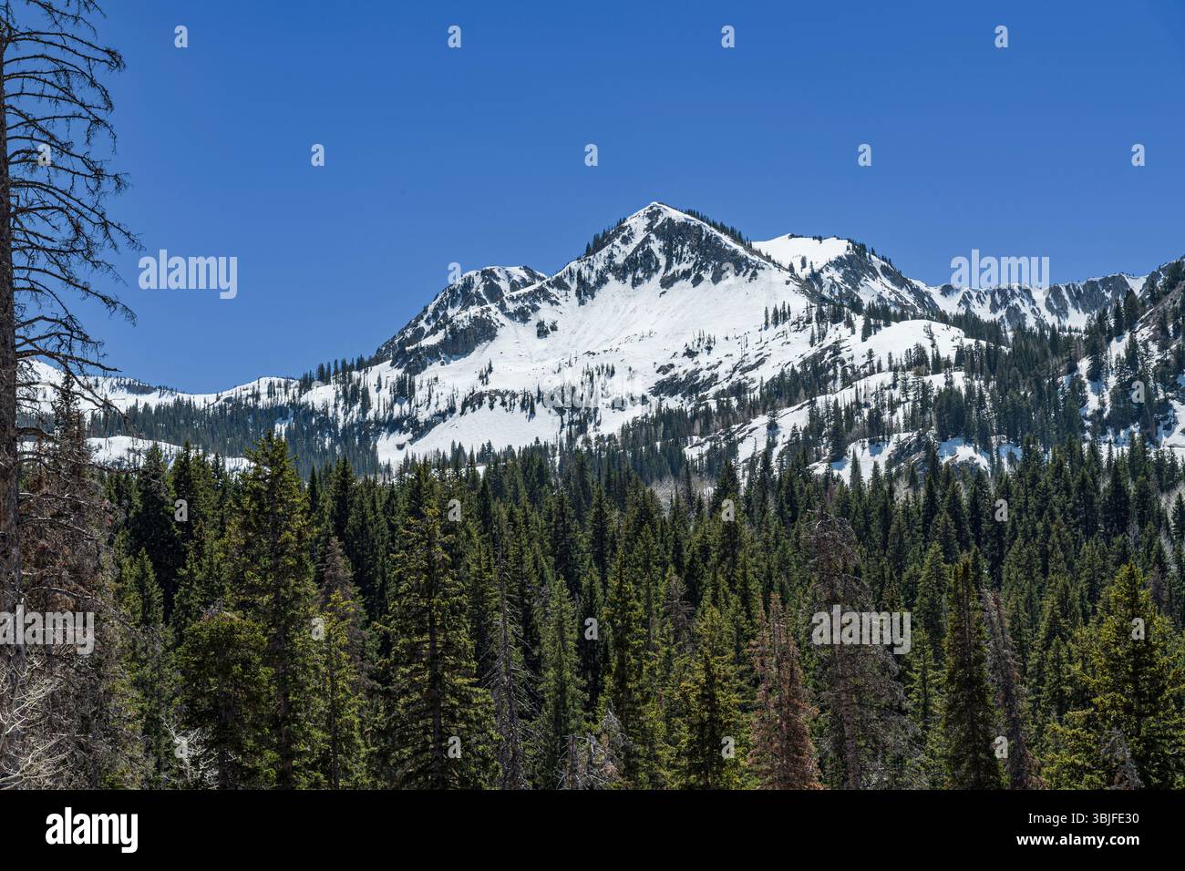 Mount Superior snow capped mountains in the American Rockies near Salt ...