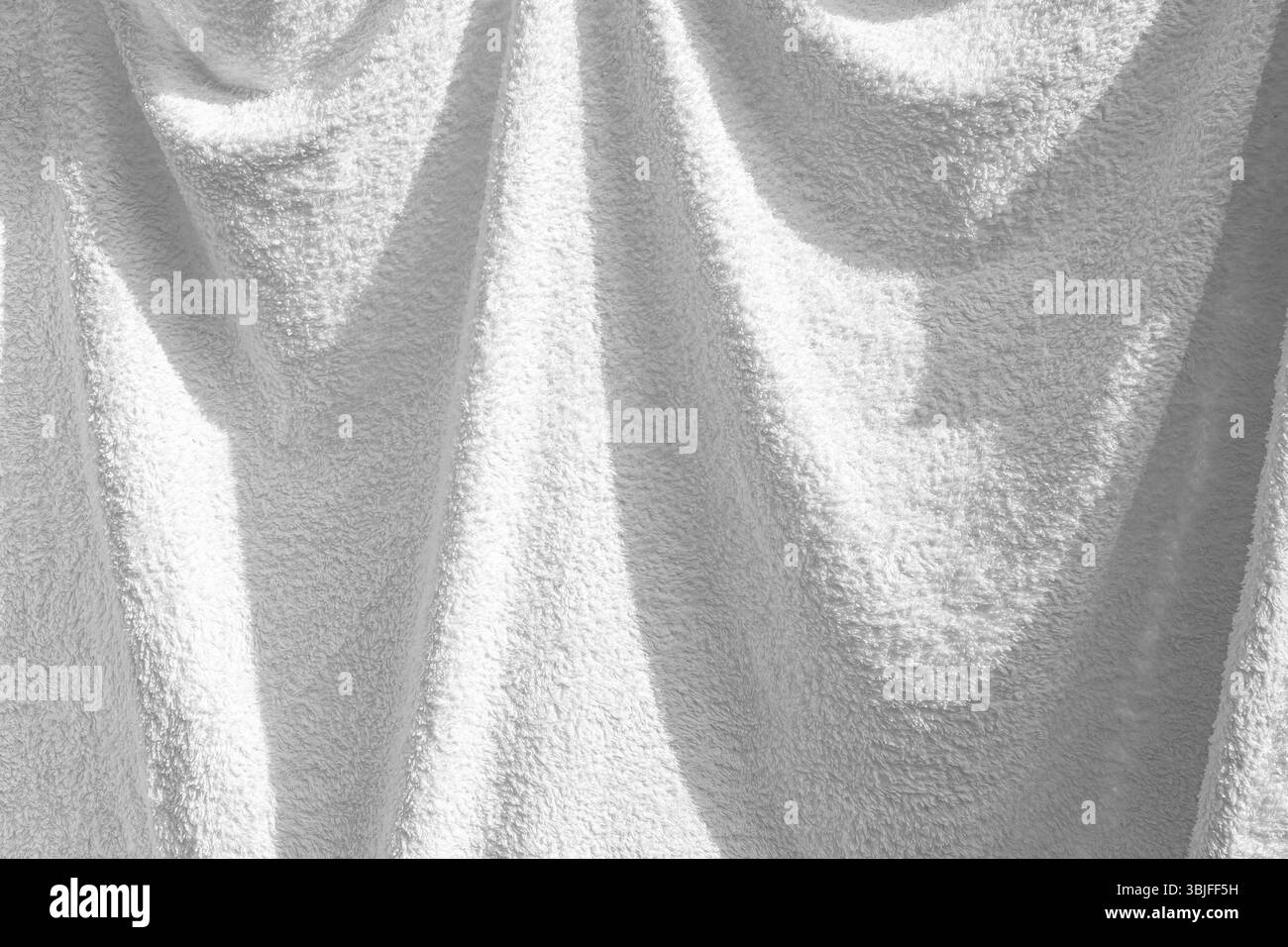 Natural aesthetic eco friendly Black and White Stock Photos & Images ...