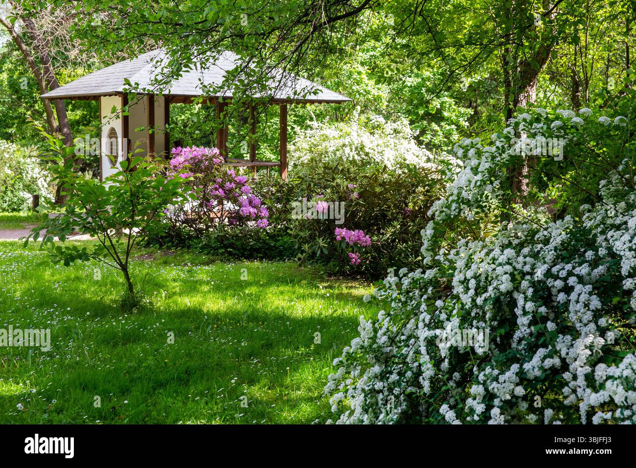 White lossoms hi-res stock photography and images - Alamy