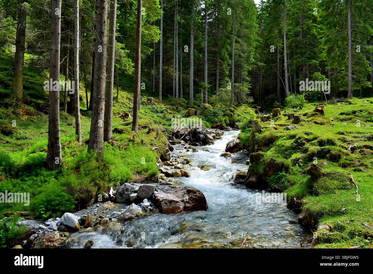 Nature of Austrian Alps , Tirol , Autria Stock Photo - Alamy