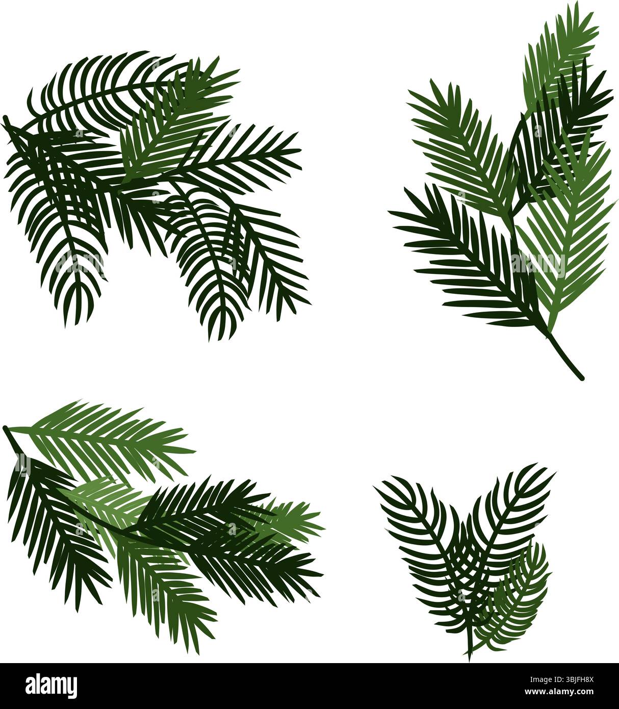 Green composition border fir Stock Vector Images - Alamy