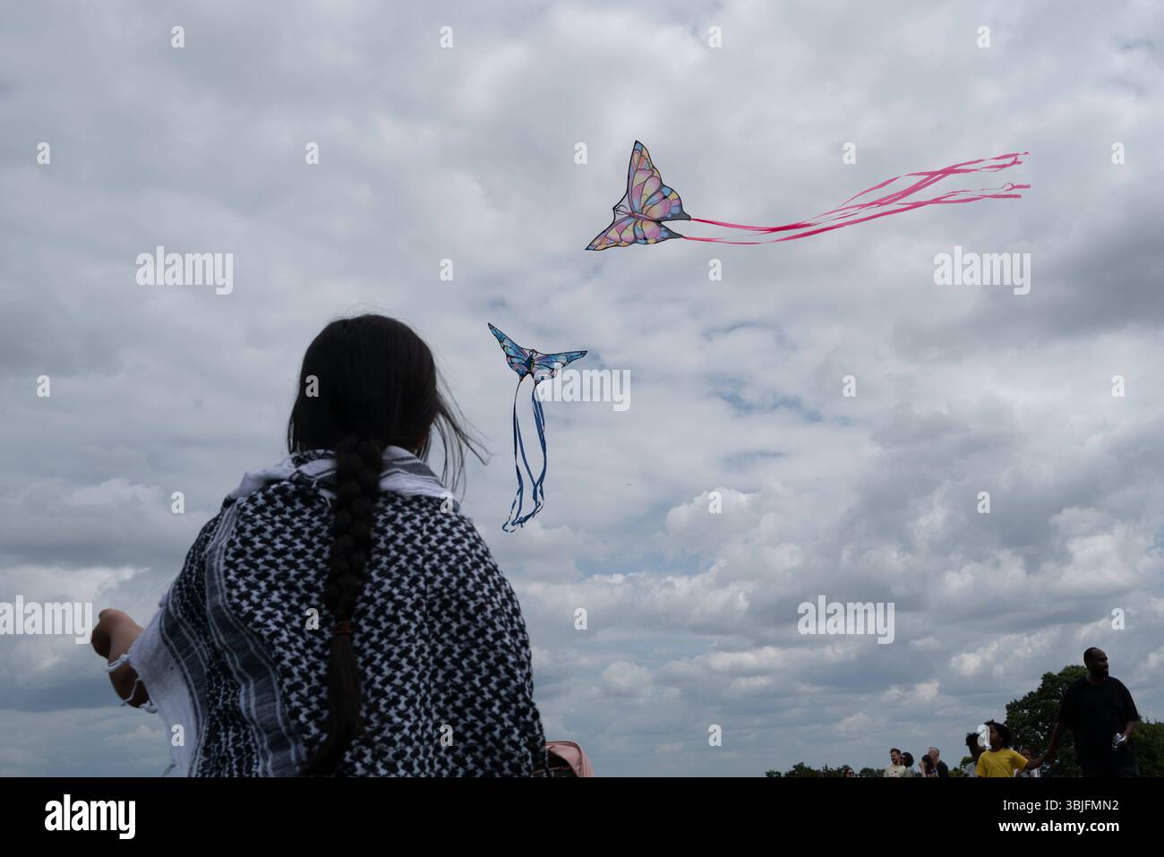 Kite Solidarity for Gaza in London Palestine supporters fly colourful ...