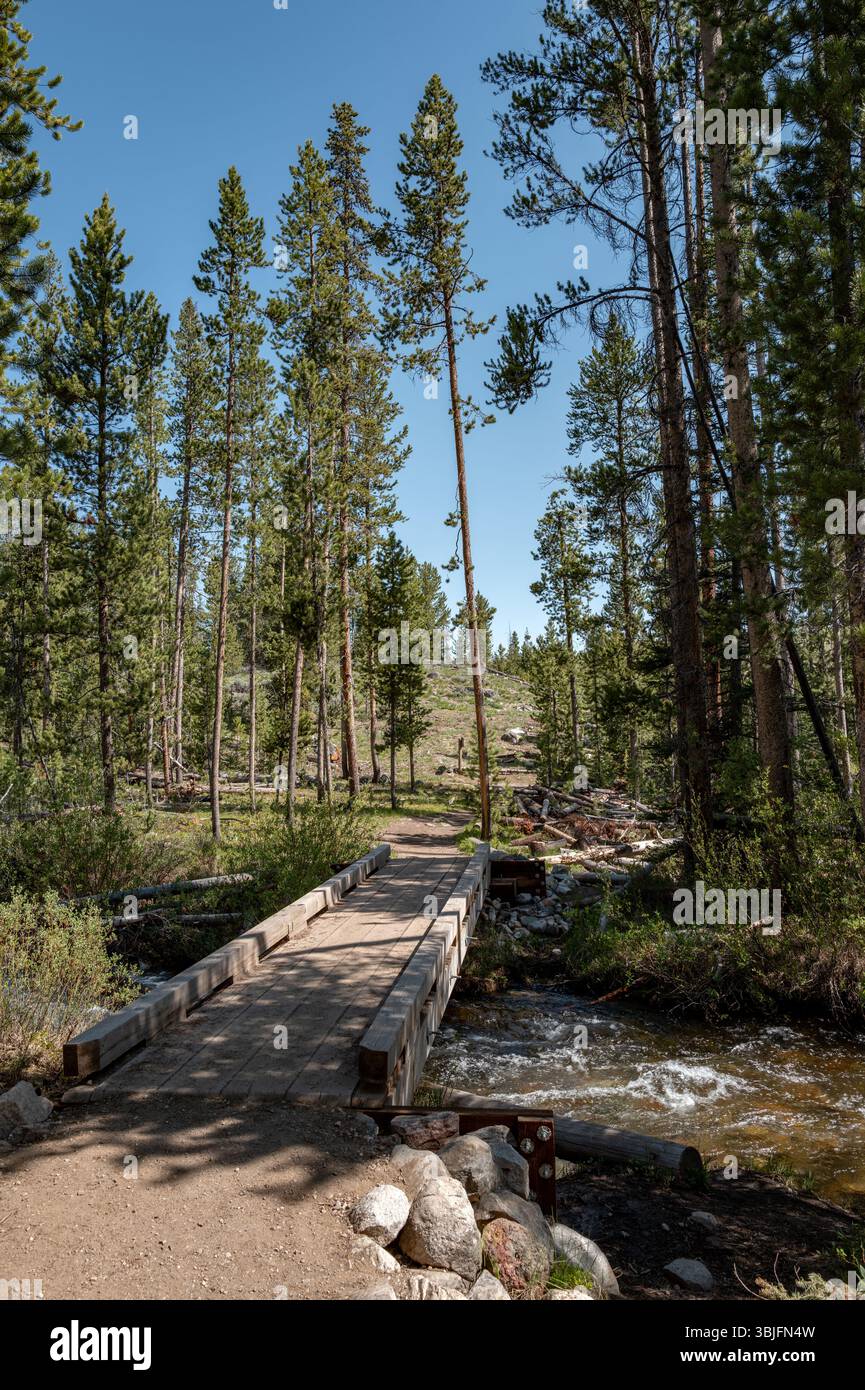 Sawtooth National recreation area foot bridge leading into the forest ...
