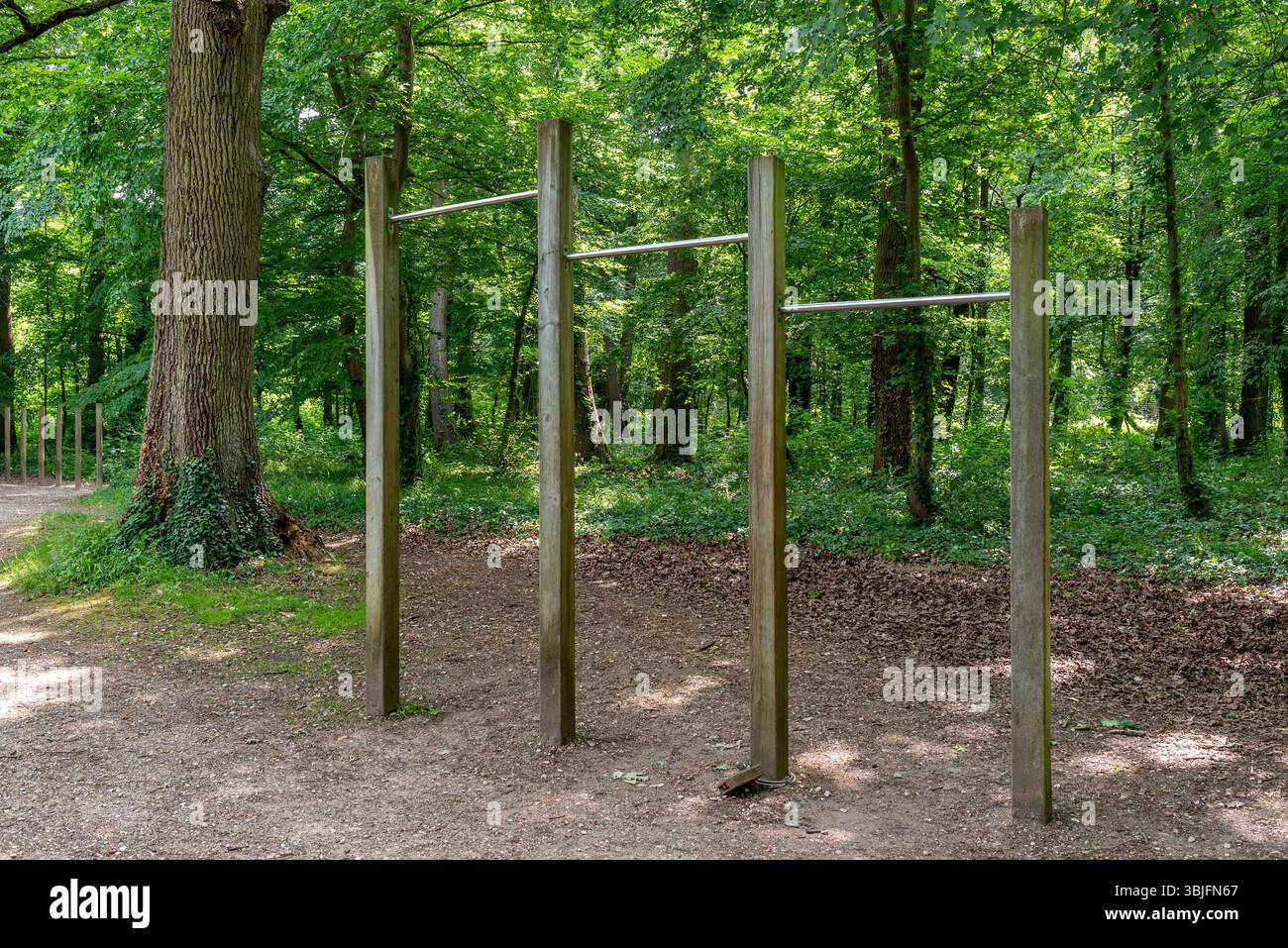 Pull-up bars in the forest. Exercise equipment. Outdoor gym Stock Photo ...