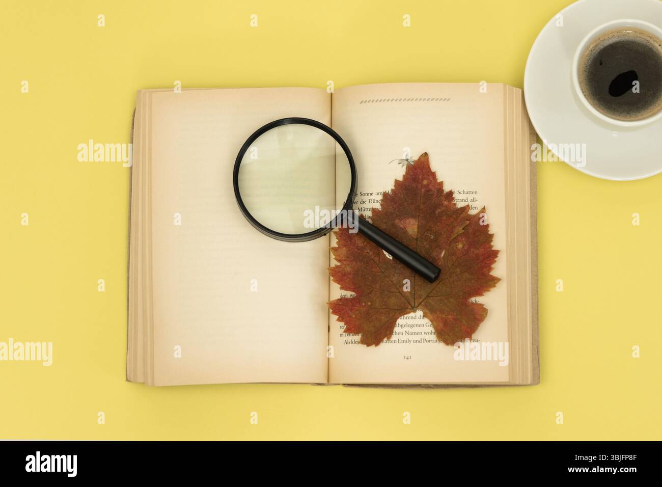 Open book with magnifying glass top view. Reading the book in the fall ...