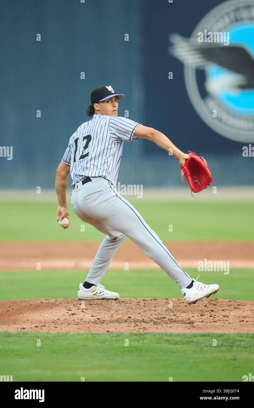 Winston-Salem Dash starting pitcher Christian Oppor (12) delivers a ...
