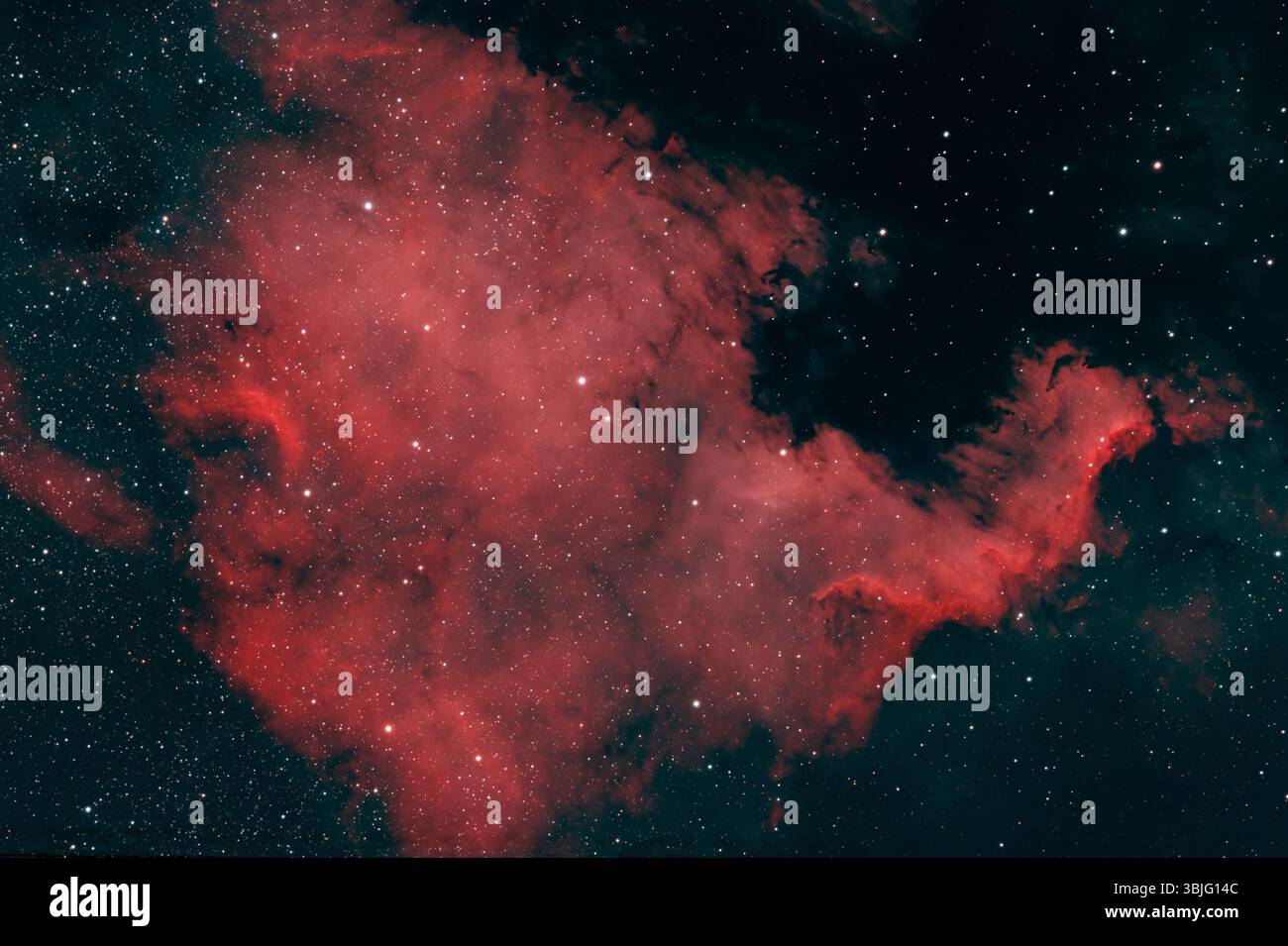 The North America Nebula next to the brightest star in the Cygnus ...