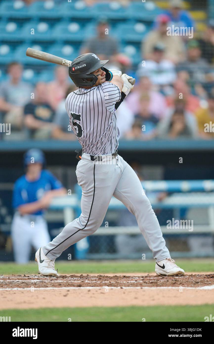 Winston-Salem Dash Jordan Sprinkle (5) at bat during a game against the ...