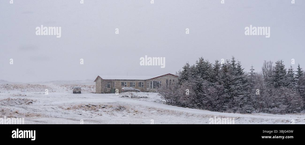 Snow falling on a remote house and snowy pine trees in iceland during a ...
