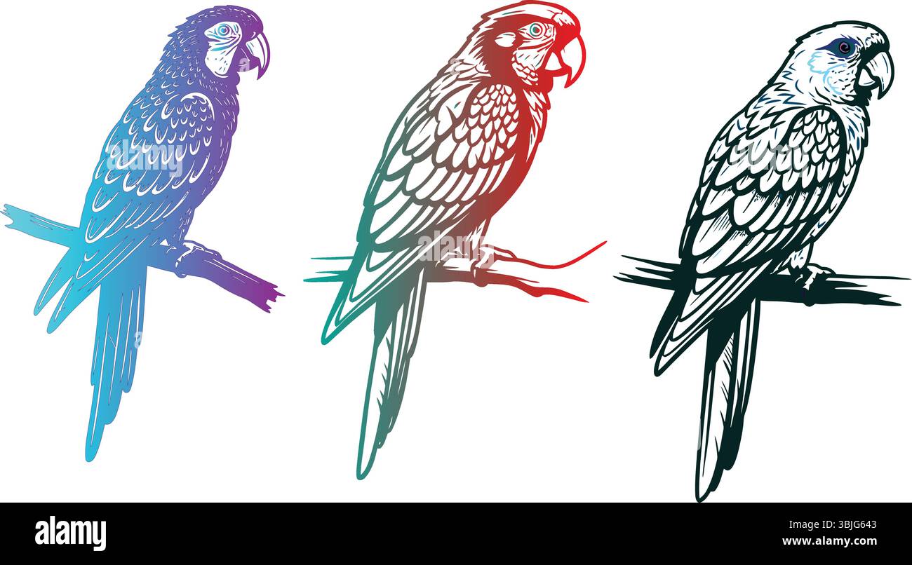 Stylized Macaw Parrot Vector Illustration Set with Colorful Gradients ...
