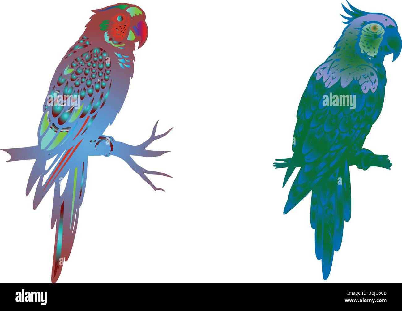 Stylized Macaw Parrot Vector Illustration Set with Colorful Gradients ...