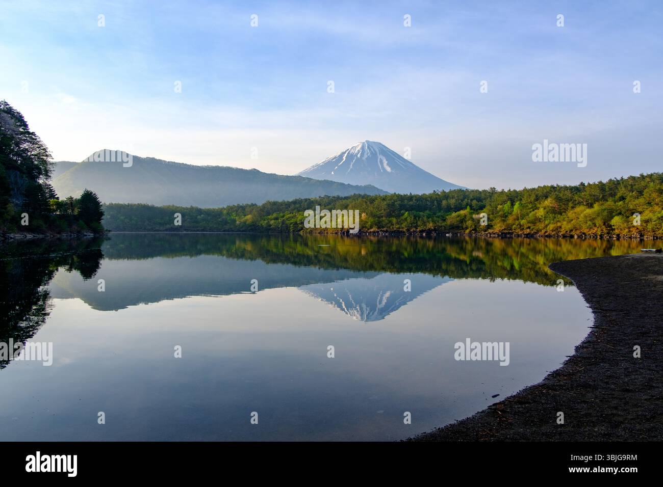 Mt Fuji reflected in Lake Saiko (Western Lake), Fuji Five Lakes, Fujikawaguchik, Yamanashi ...