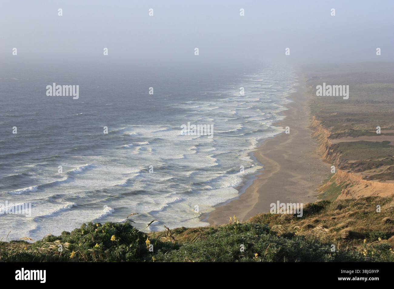Aerial view of an empty beach, Point Reyes National Seashore, Marin ...