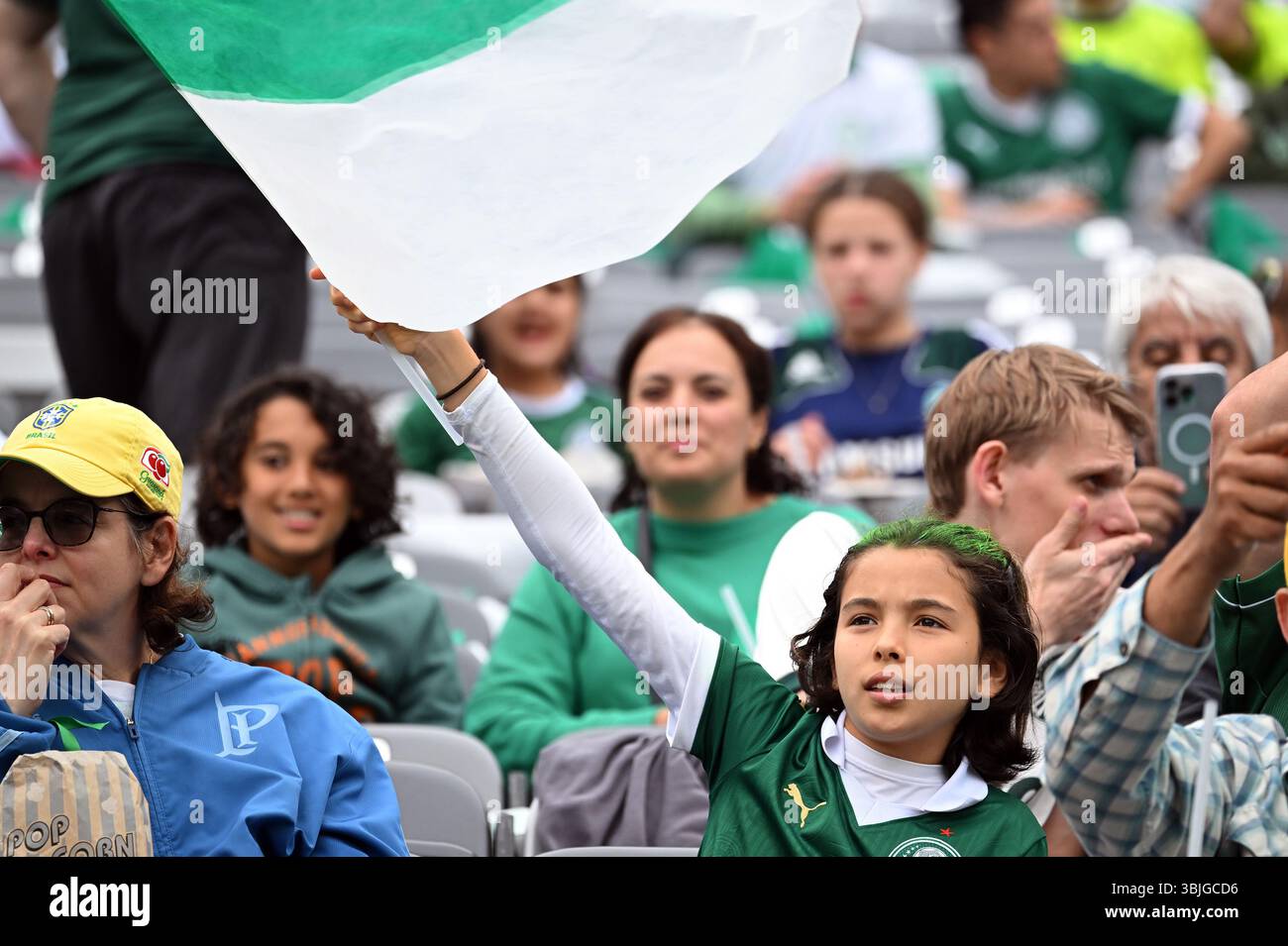East Rutherford, USA. 15th June, 2025. A young Palmieras fan waves a ...