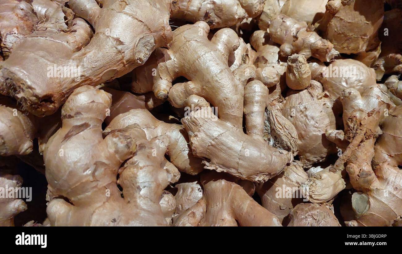 Ginger roots are displayed in a market, highlighting their earthy tones ...