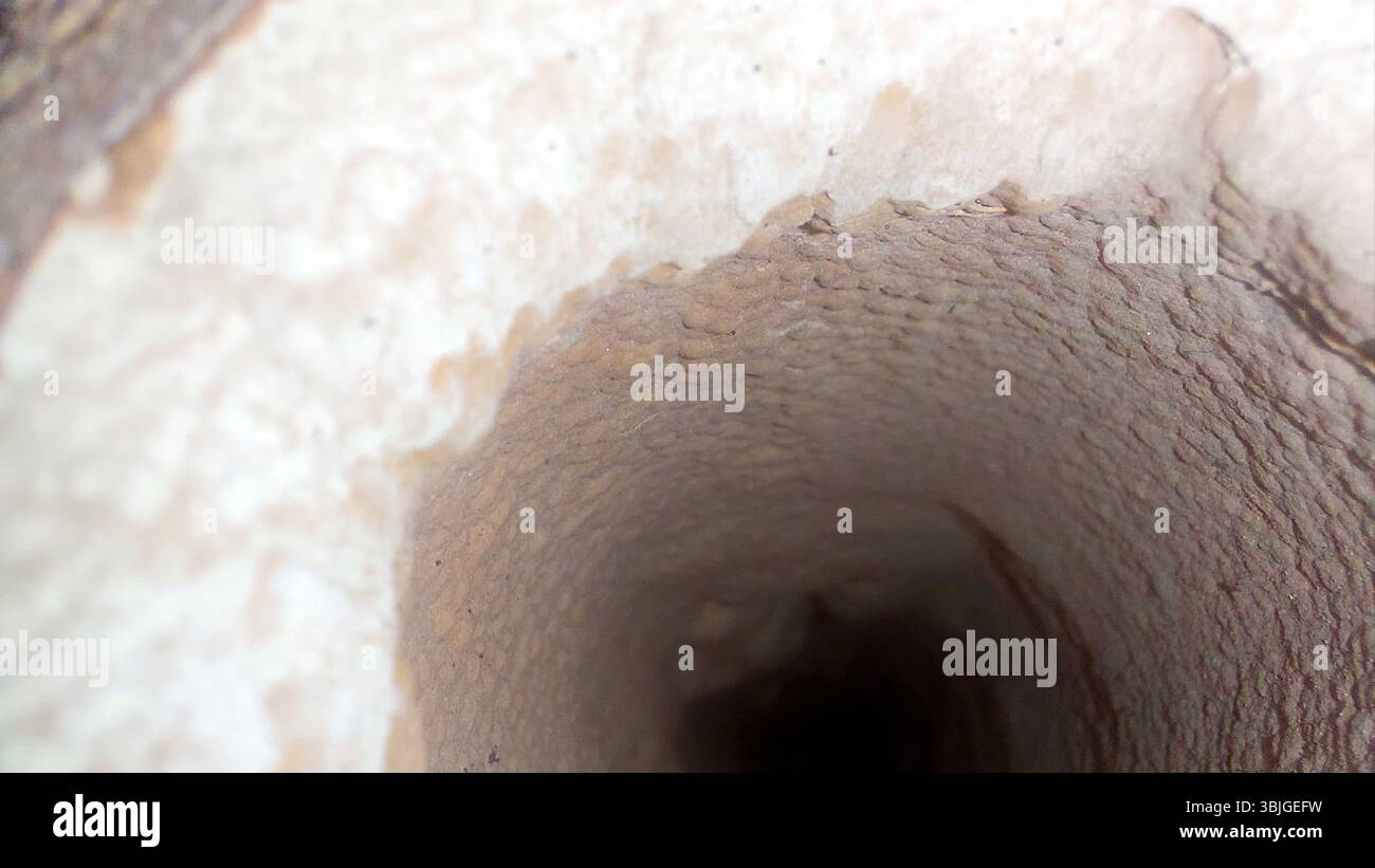 Geological cross section showcasing hi-res stock photography and images ...