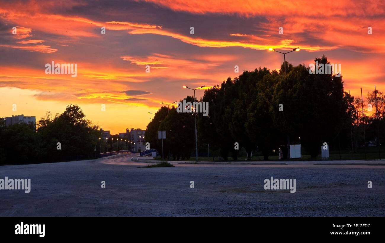 Trees silhouette under sunset hi-res stock photography and images - Alamy