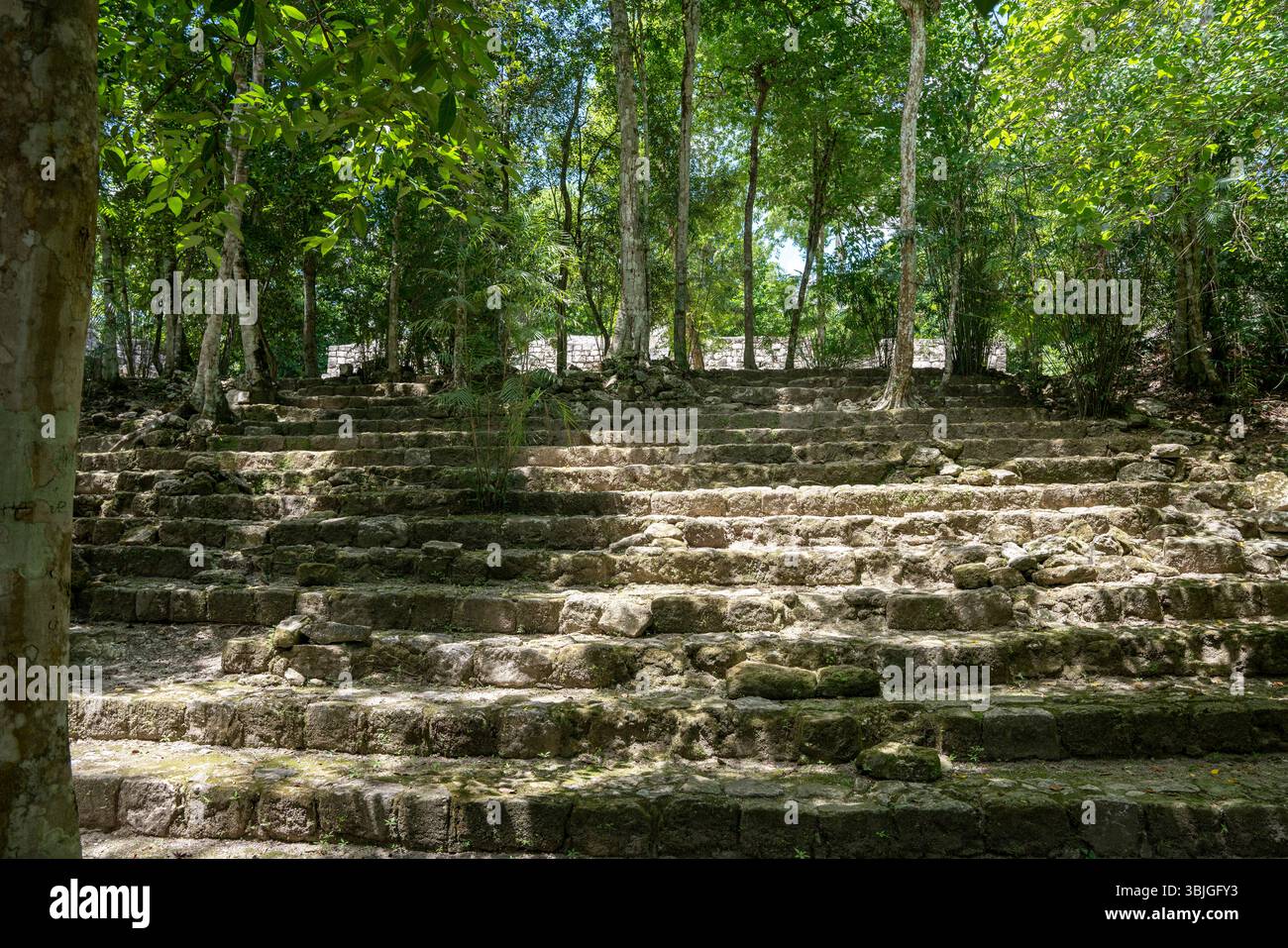 Ancient Mayan stone staircase with detailed carved blocks and weathered ...