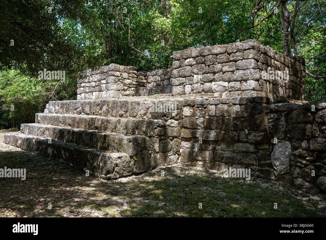 Ancient Mayan ruins with stone structures and stepped platforms ...