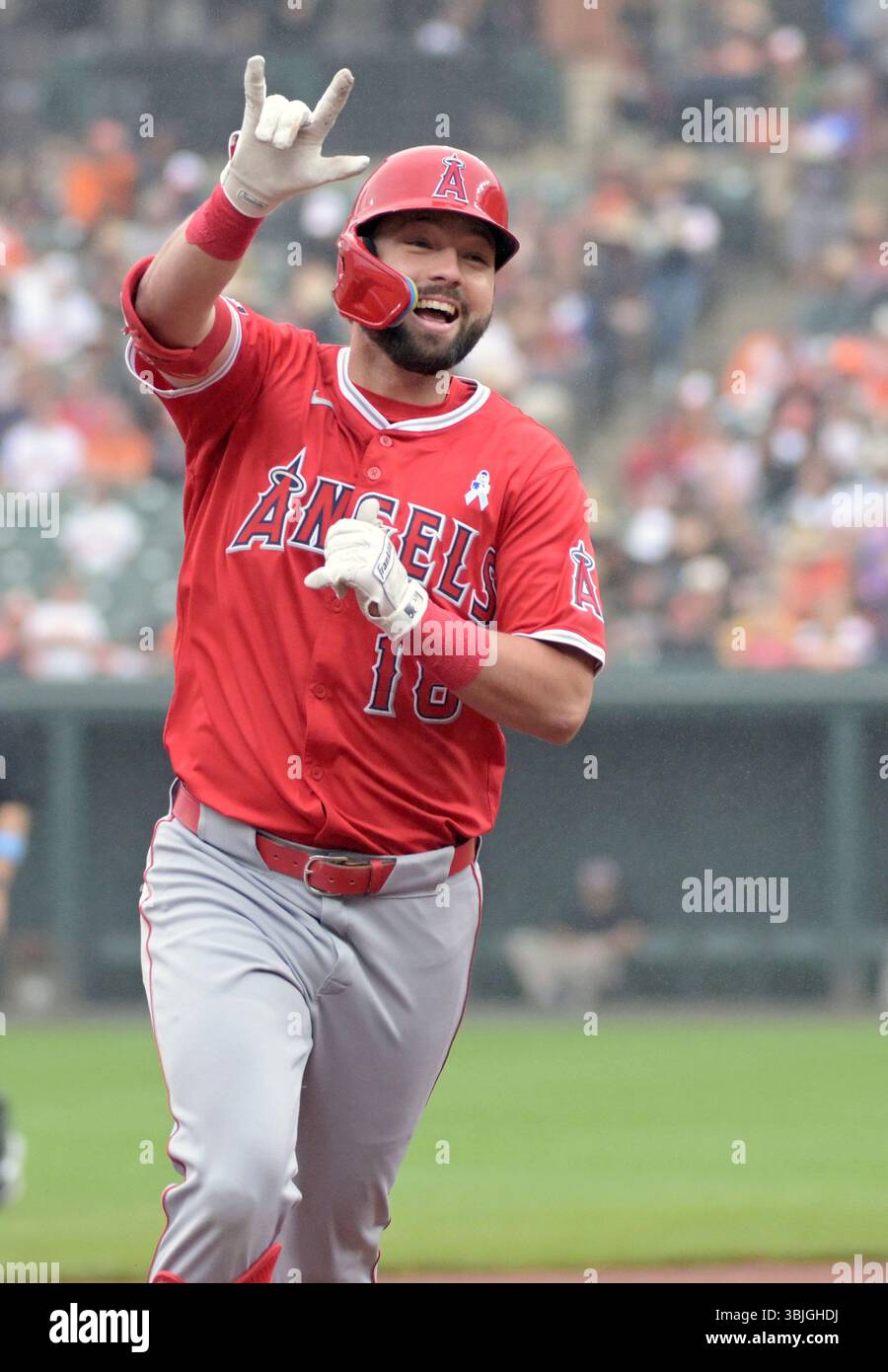 BALTIMORE, MD - JUNE 15: Los Angeles Angels first baseman Nolan ...