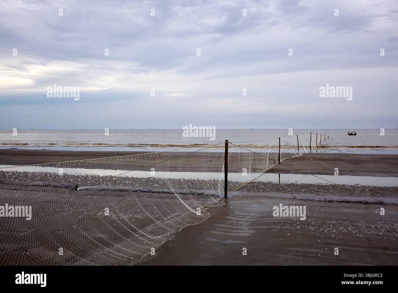 Fishing nets tied to poles stretch across the tidal flats of Kuakata ...