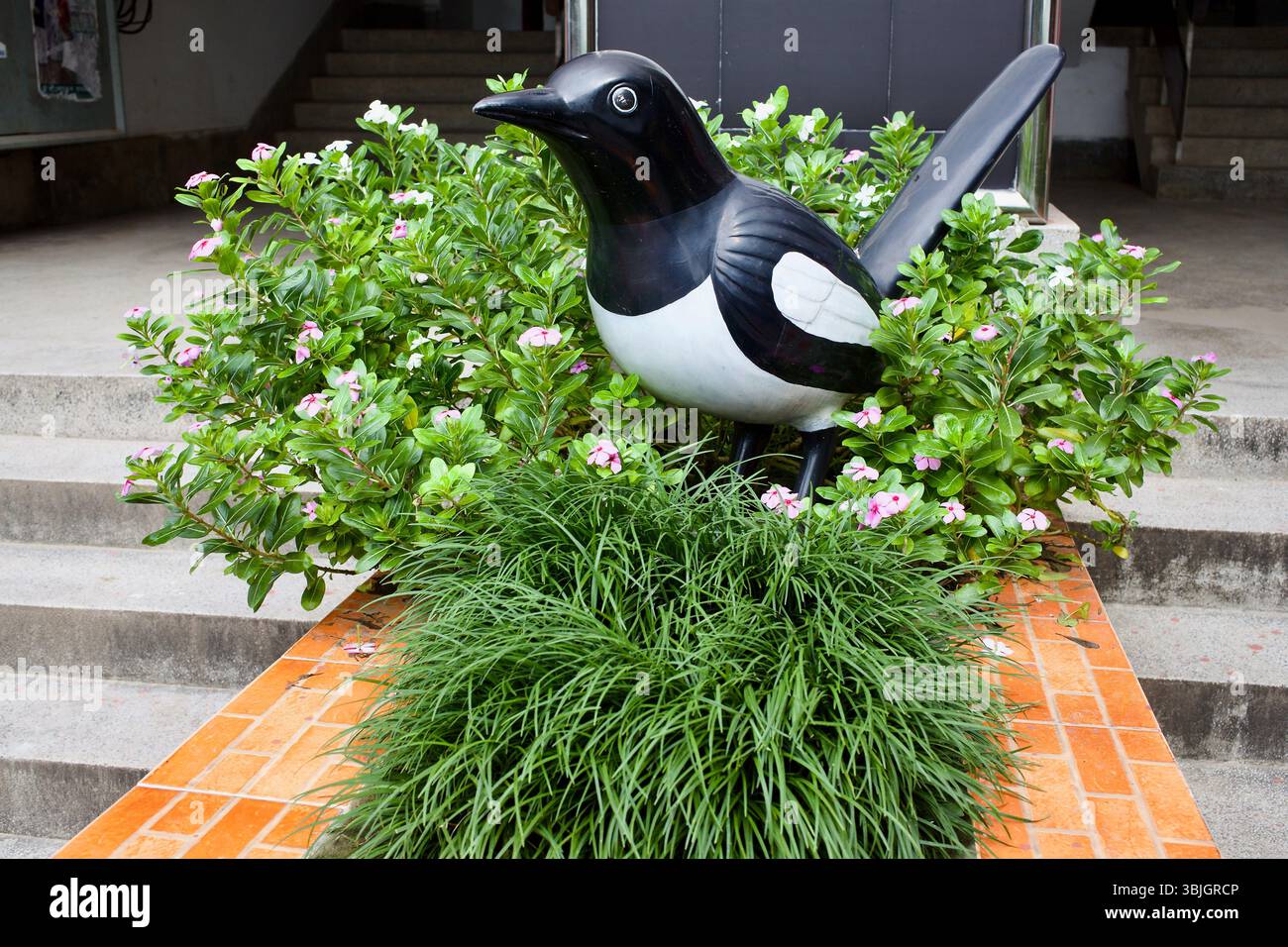 Statue of the Oriental magpie-robin, national bird of Bangladesh ...