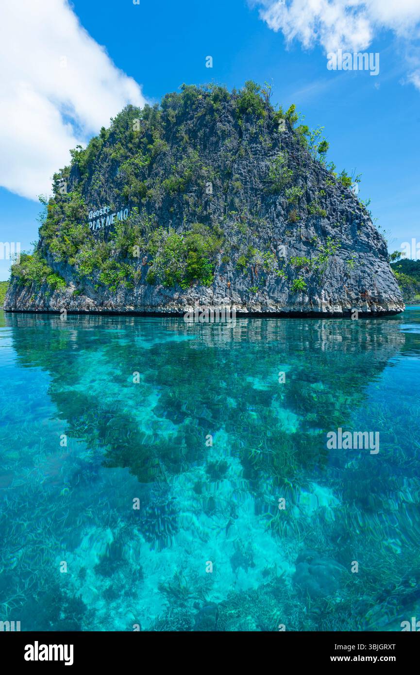 Reef seen through crystal clear waters at Piaynemo Island, a renowned ...