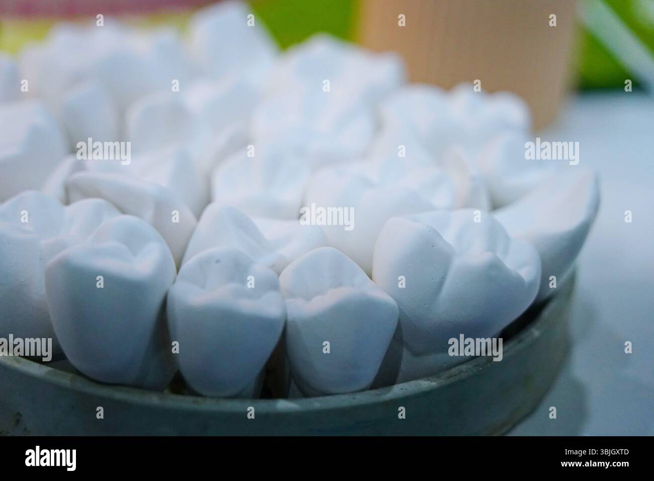 Models of different types of teeth Stock Photo - Alamy