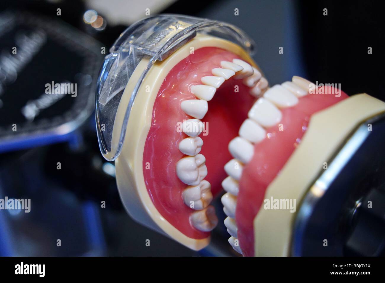 Mouth guard with teeth. Dental exhibition Stock Photo - Alamy