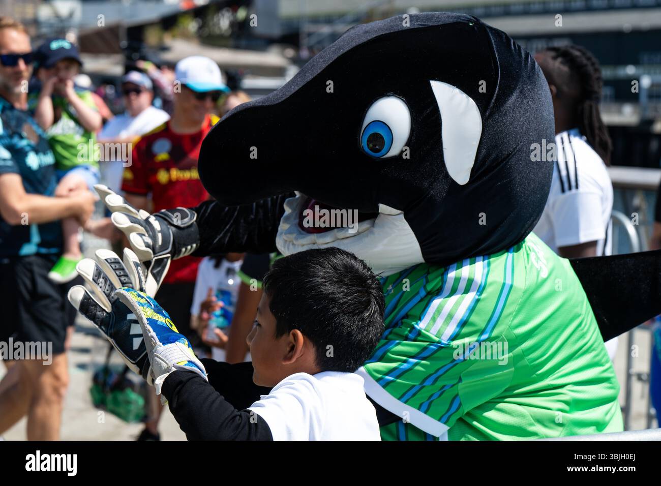 Seattle, USA. 15th Jun 2025. Just after 4:00pm The Seattle Sounders an ...