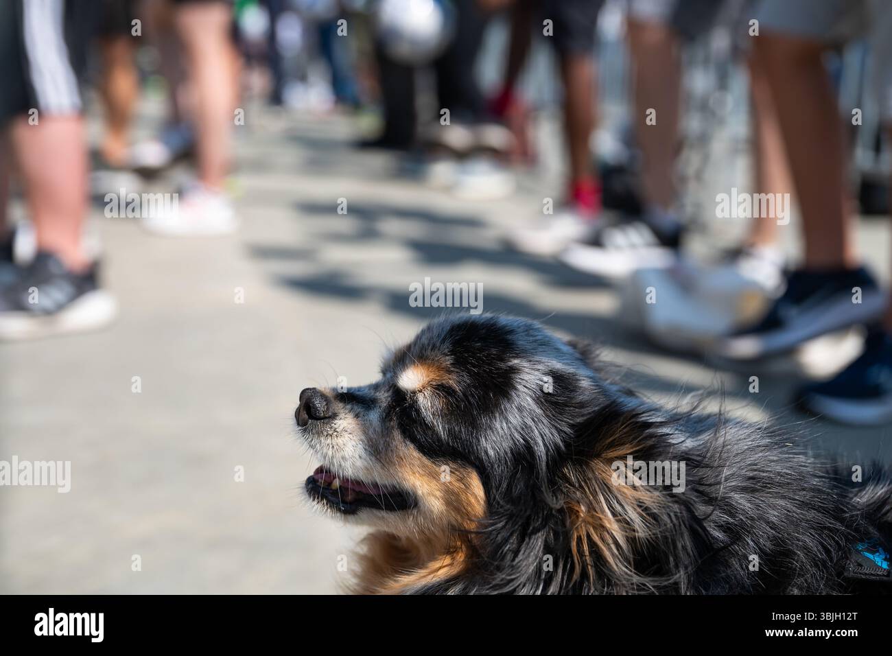 Seattle, USA. 15th Jun 2025. Just after 4:00pm The Seattle Sounders an ...