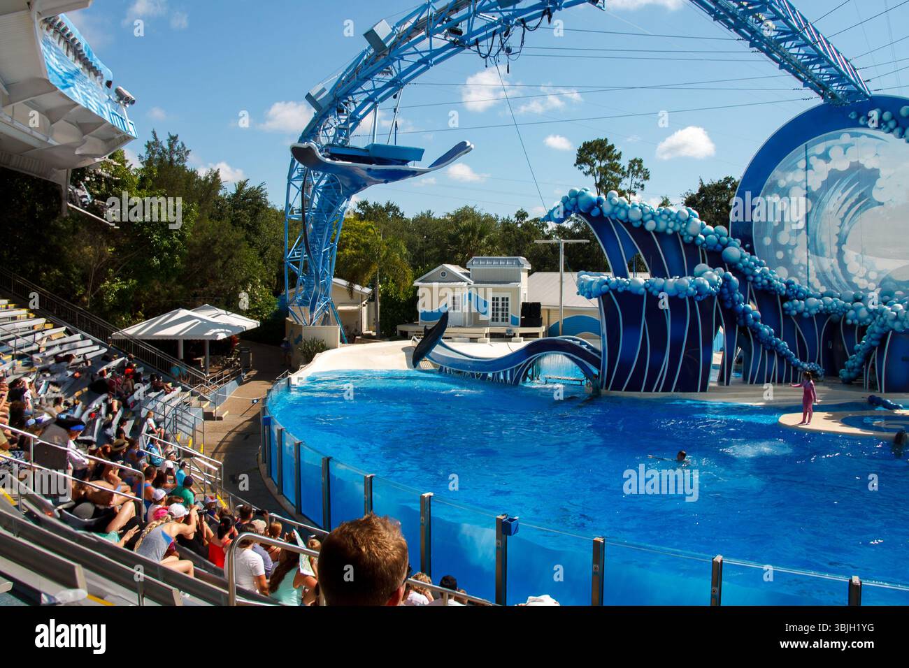 The Performance show with Bottle-Nosed Dolphins at Dolphin Theater in ...