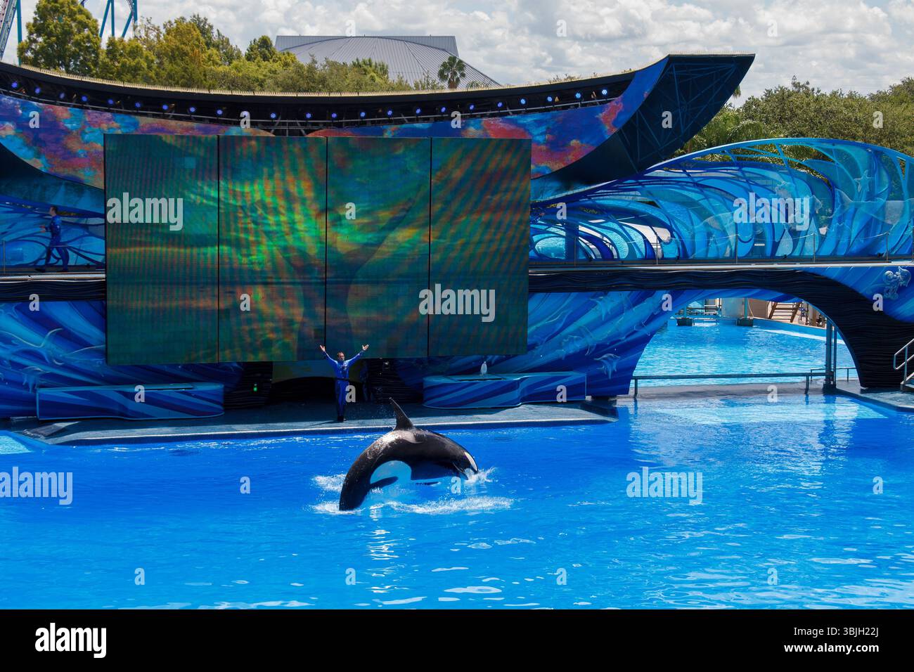 The Performance show with Orca whales at Orca Encounter, Sea World ...