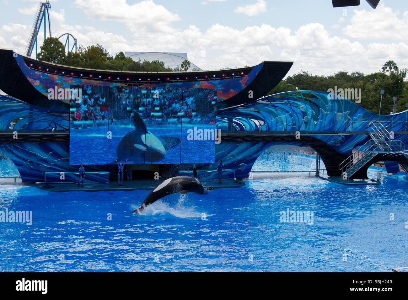 The Performance show with Orca whales at Orca Encounter, Sea World ...