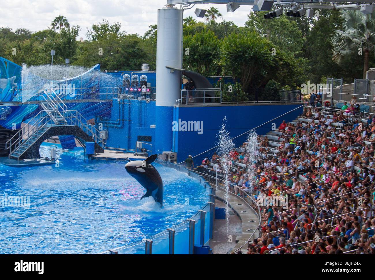 The Performance show with Orca whales at Orca Encounter, Sea World ...