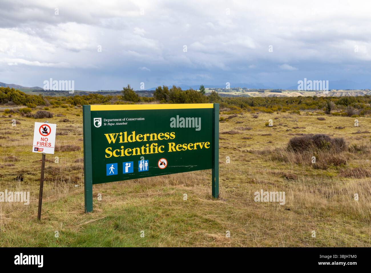 Wilderness Scientific Reserve, The Key, Te Anau, vegetation post ...