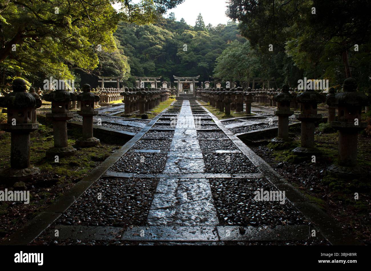 Cemetery at Tokoji Zen Buddhist temple is resting place for the Mori ...