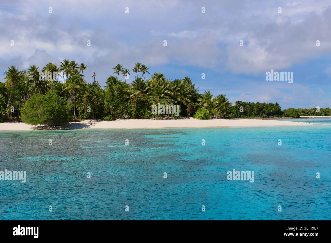 An uninhabited tropical island in the Marshall Islands with palm trees ...