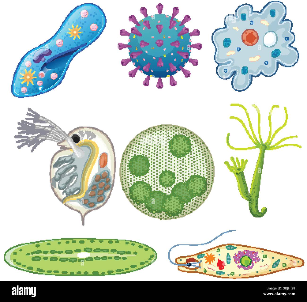Detailed vector illustration of various microorganisms and cells in ...