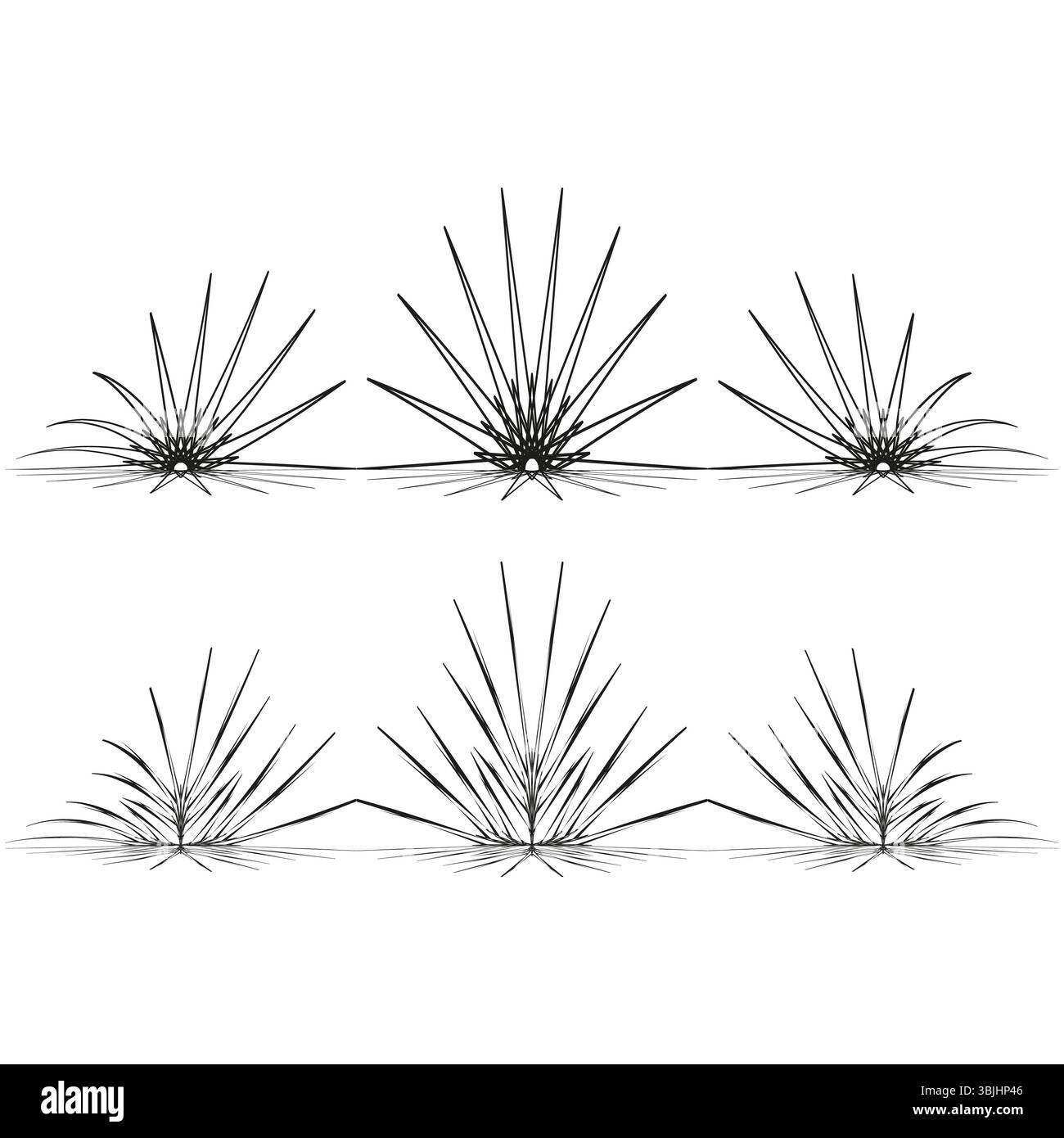 Plant spike icon. Desert flora symbol. Black spike pattern. Vector ...