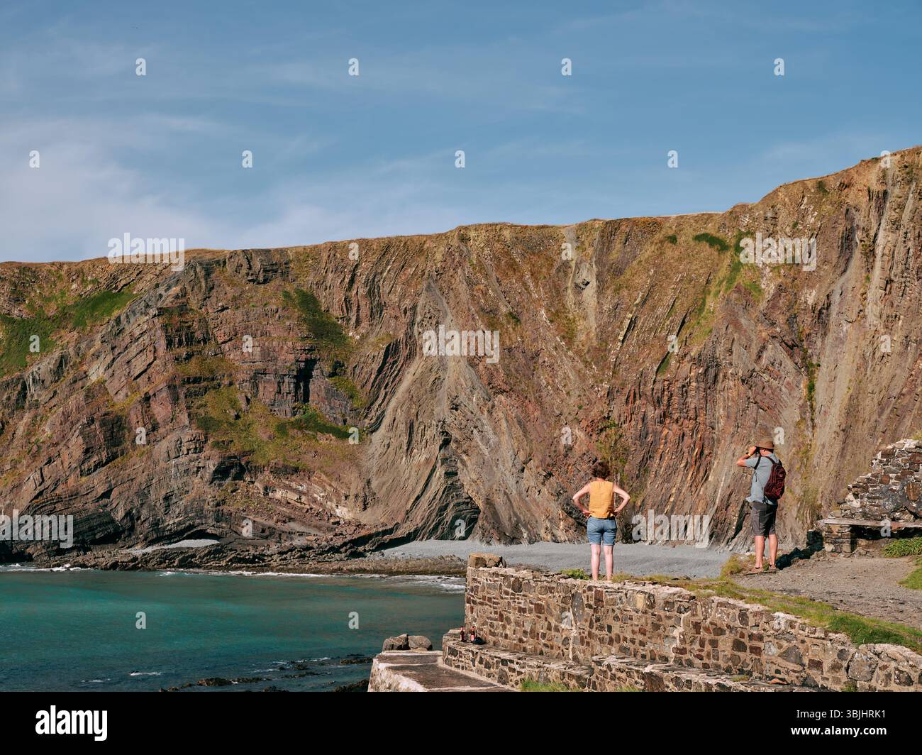 The Crackington Formation of shales and sandstones geology at Hartland ...