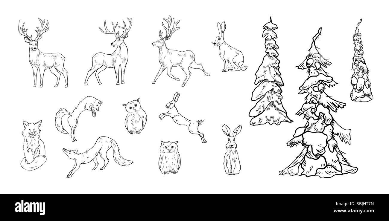 Woodland winter animals clipart with snowy trees hand drawn black white ...