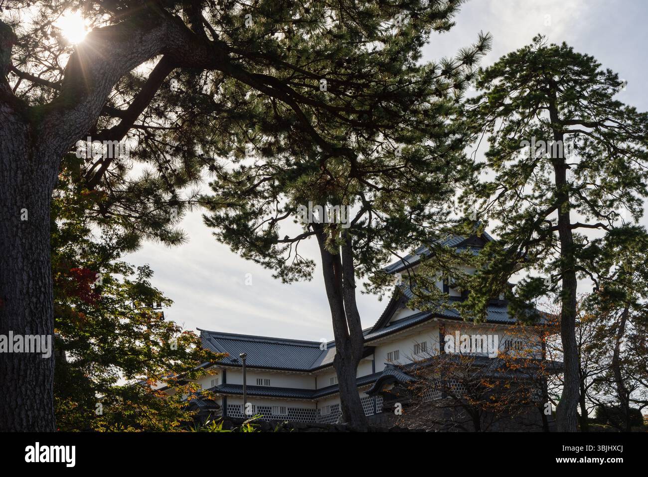 Backlight sun creating silhouette hi-res stock photography and images ...