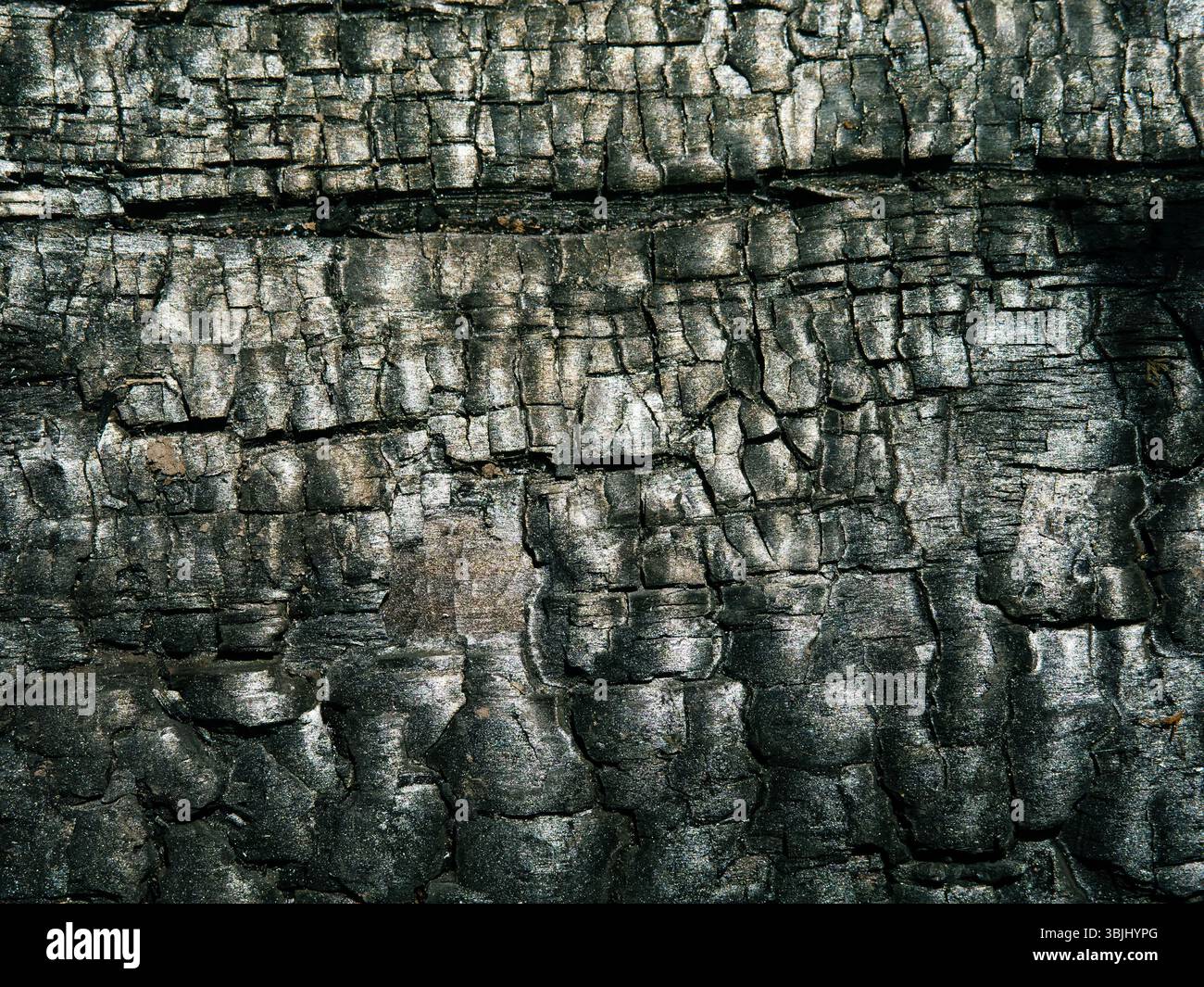 Close-up of charred wooden planks after a fire. Background Stock Photo ...