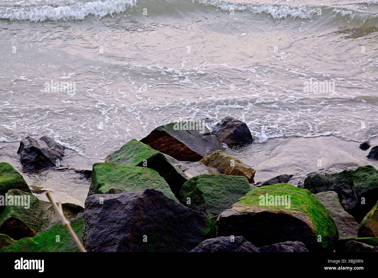 Rocky shoreline green seaweed waves hi-res stock photography and images ...