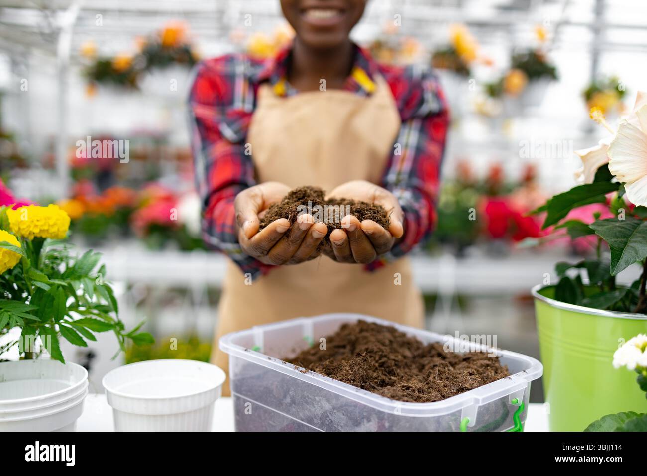 Preparing flowers replanting hi-res stock photography and images - Alamy