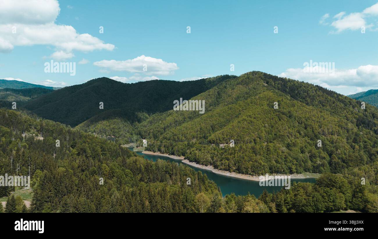 Aerial view of forested mountains and a winding river inlet of Zaovine ...